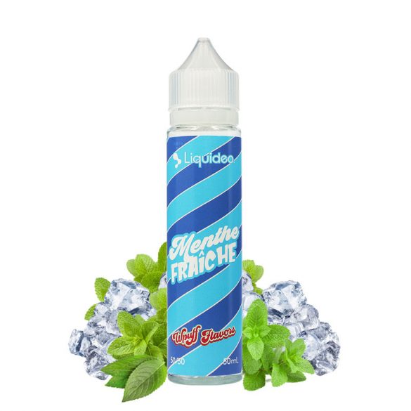 Puff Liquideo, le e-liquide parfait pour les débutants ! - Datta